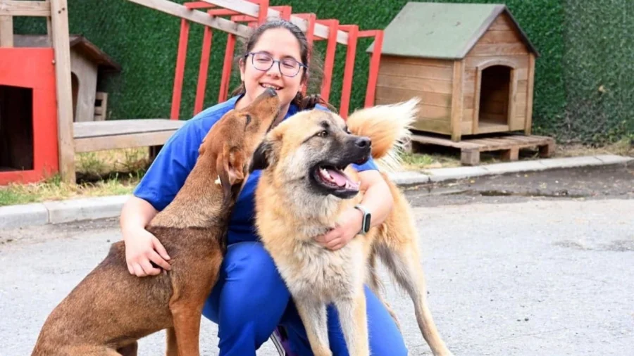 Sokak hayvanları yasası düzenlemesinde köpeğini sokağa bırakan hayvan ... Sokak hayvanları yasası düzenlemesinde köpeğini sokağa bırakan hayvan ...